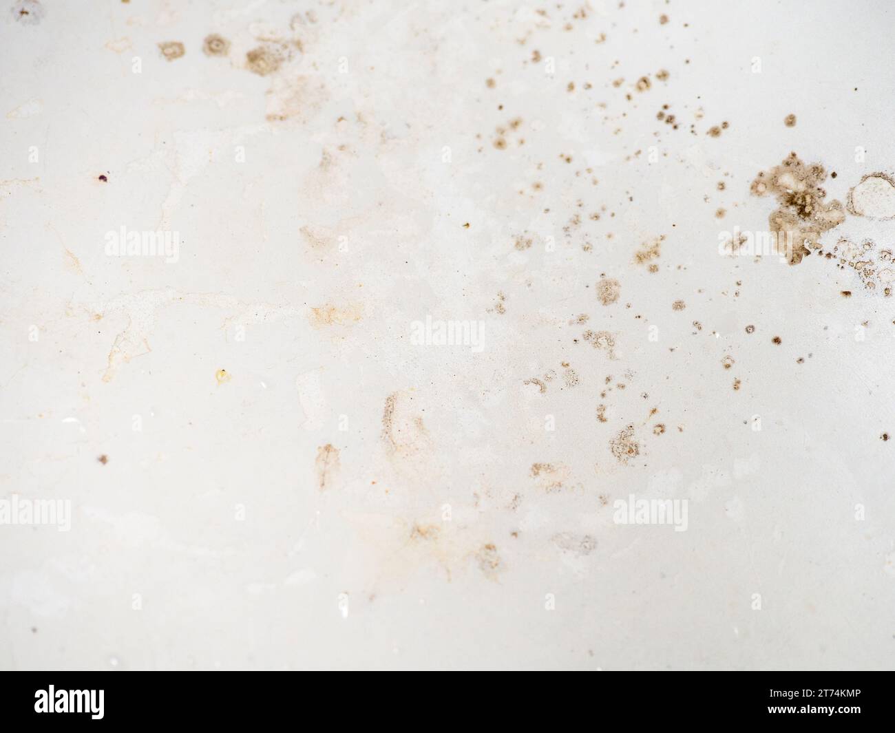 Mold on the enamel in the bathroom. Mold spores in the bathroom. Black ...