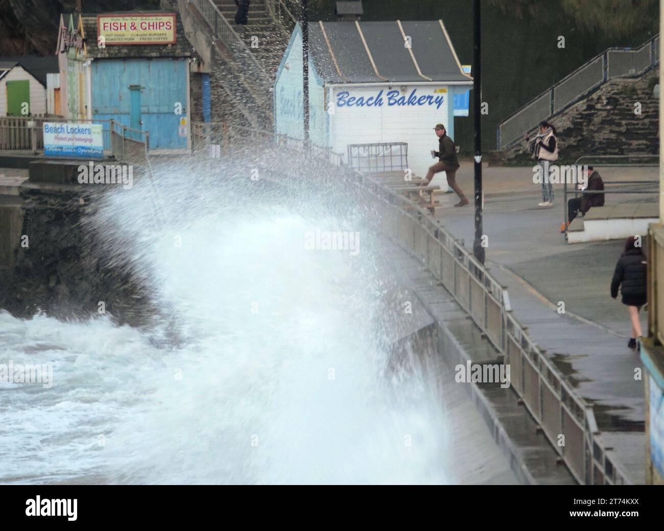 Debi storm lashes watchers hi-res stock photography and images - Alamy