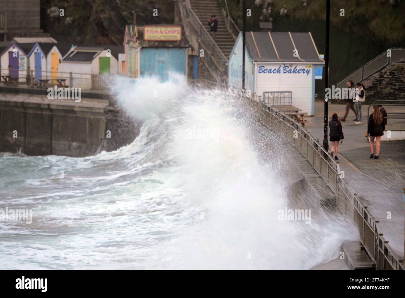 Debi storm lashes watchers hi-res stock photography and images - Alamy