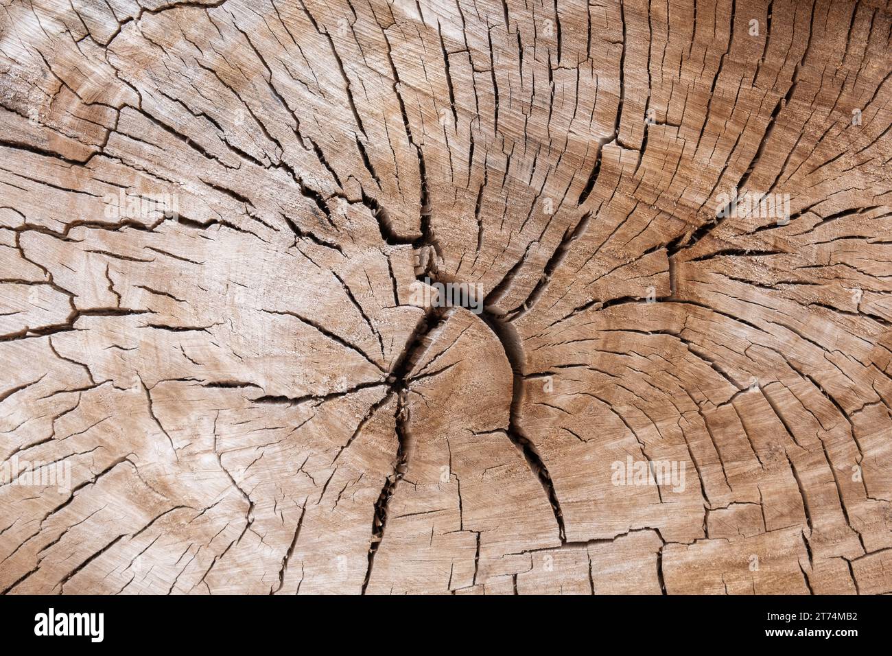 Faint background hi-res stock photography and images - Alamy