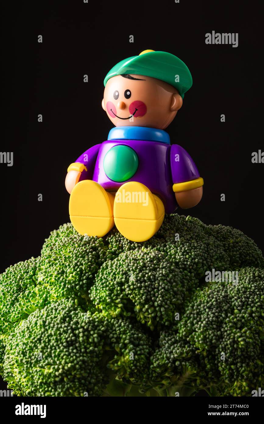 Fresh broccoli florets and plastic toy boy on black rustic background ...