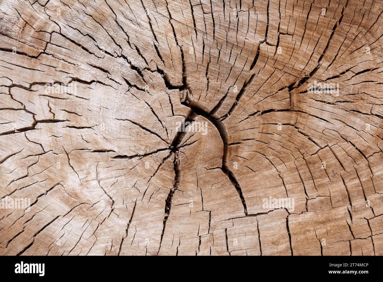 Faint background hi-res stock photography and images - Alamy