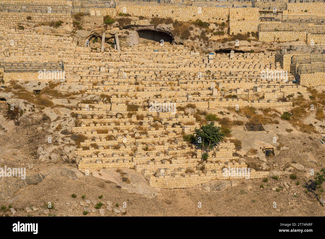 View of the Mount of Olives Cemetery an ancient Jewish place of burial ...