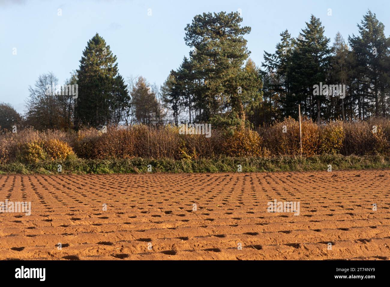 Ploughed field hi-res stock photography and images - Alamy