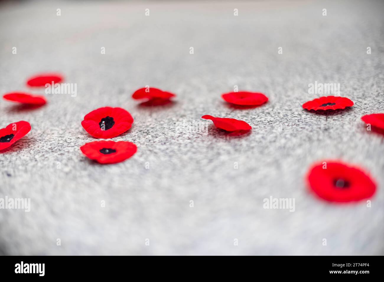 Poppy on cenotaph Stock Photo - Alamy
