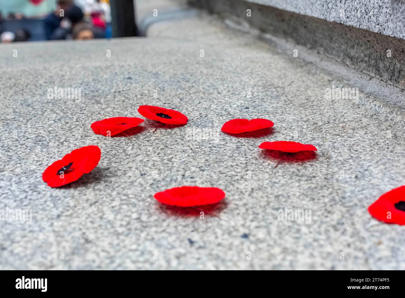 poppies on a cenotaph Stock Photo - Alamy