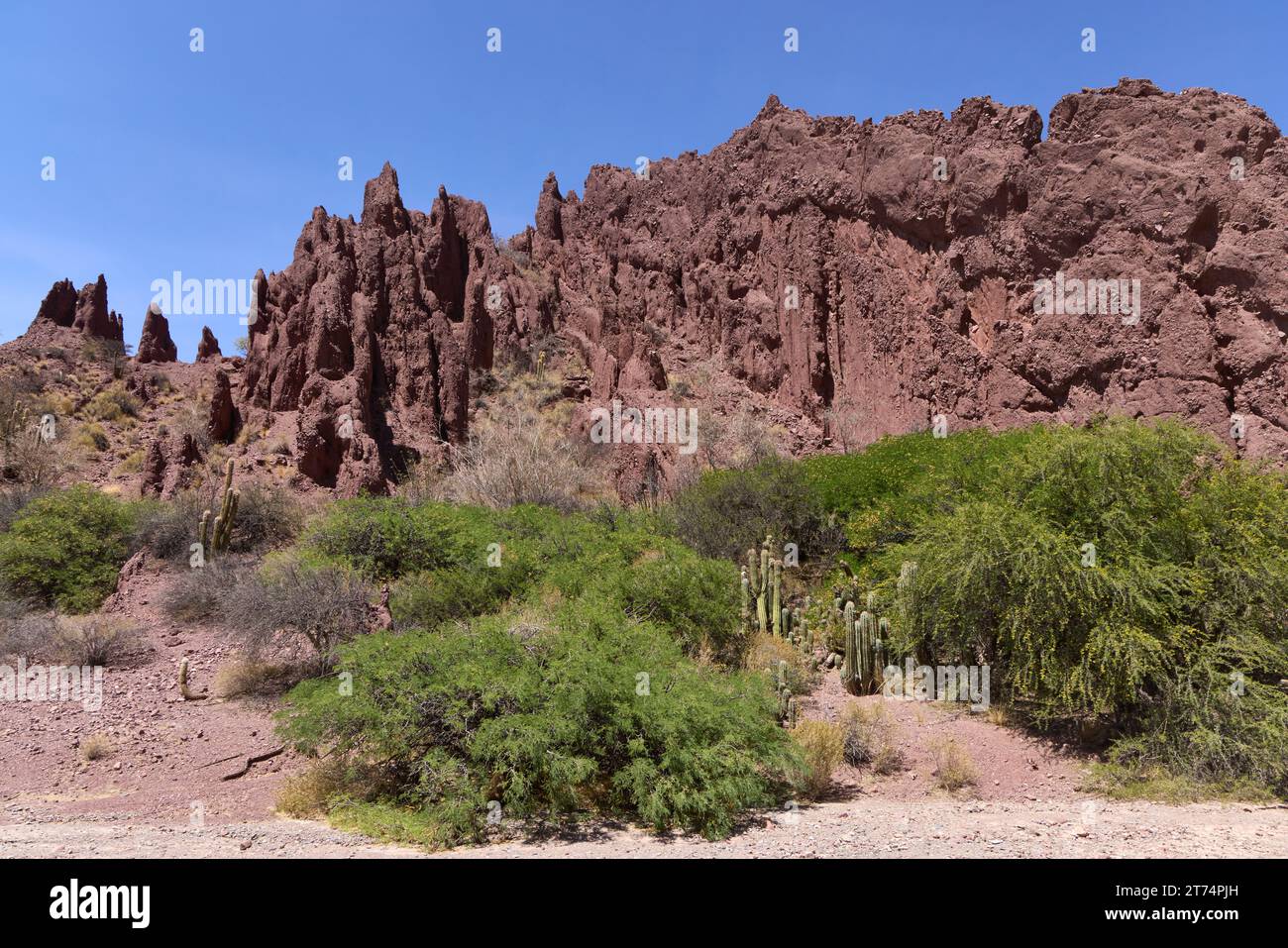 Bolivia, Tupiza. Valle de los Machos and Cañón del Inca. A landscape ...