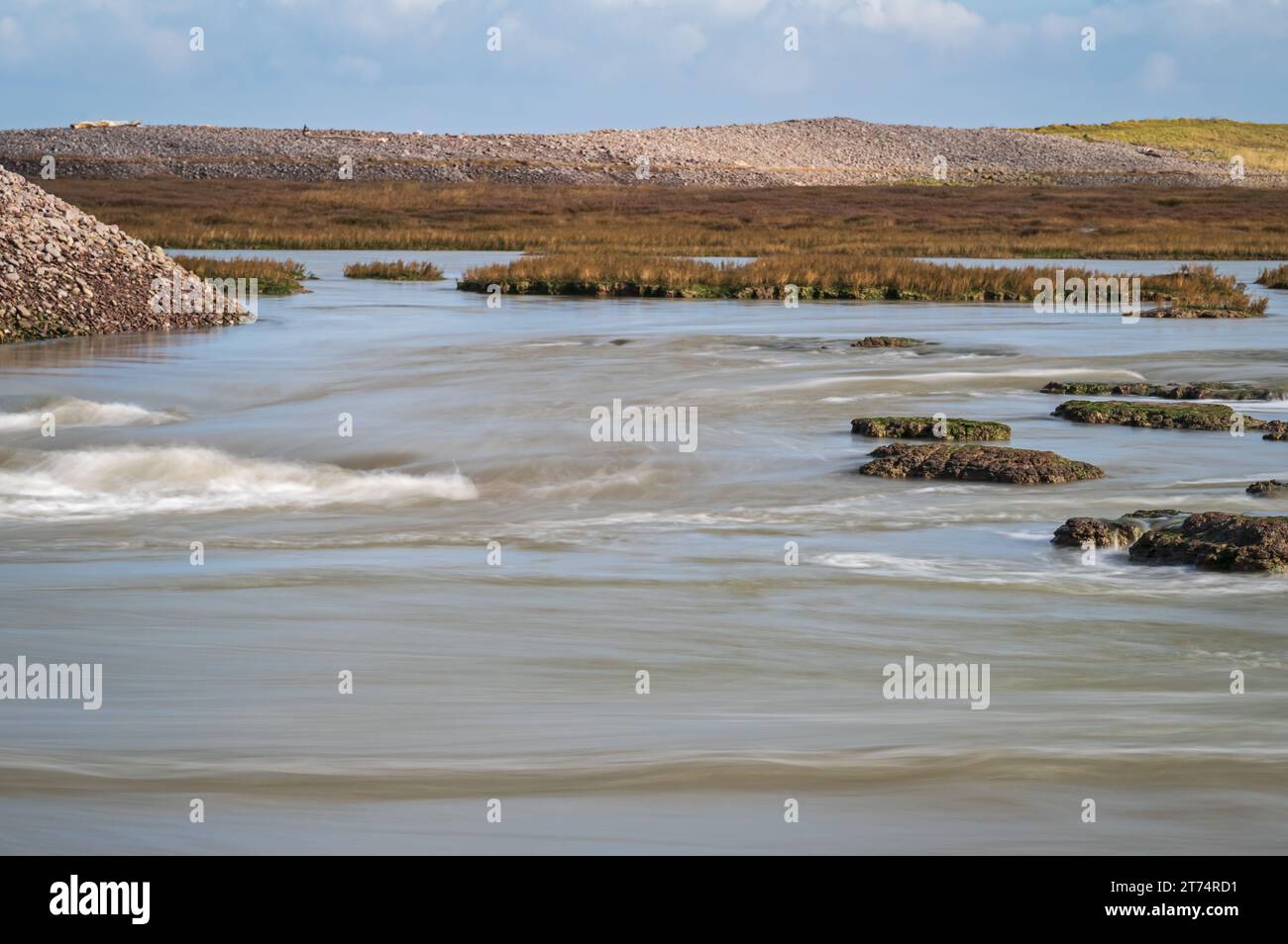 Seawater flooding out of the salt marshes as the tide goes out at ...
