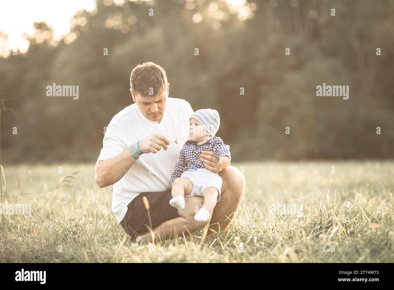 A dad enjoys a playful moment in a summer field, as the dad throw baby ...