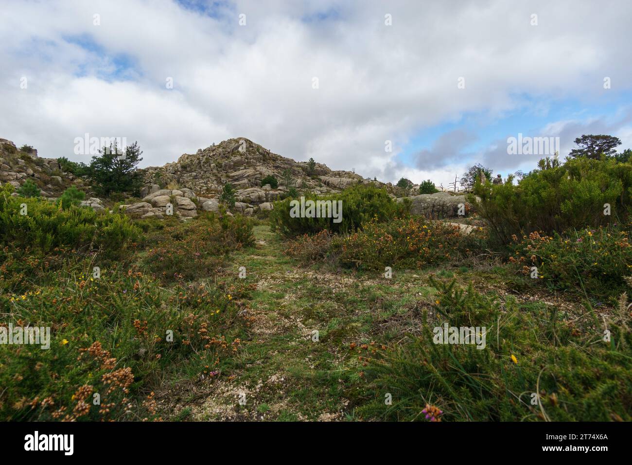 Mountain landscape of granite rocks with green vegetation, Peneda-Geres ...