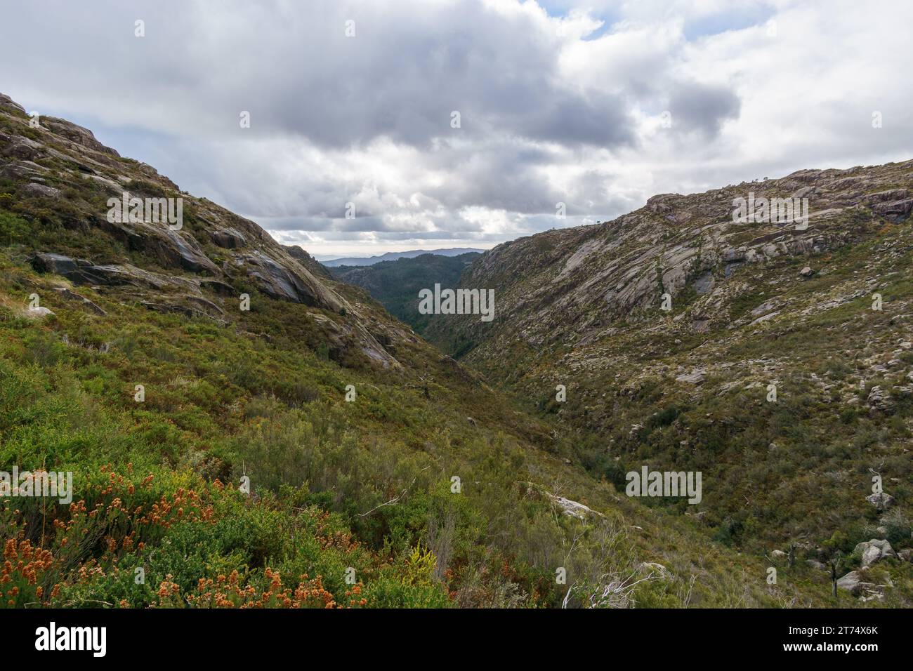 Mountain landscape of granite rocks with green vegetation, Peneda-Geres ...