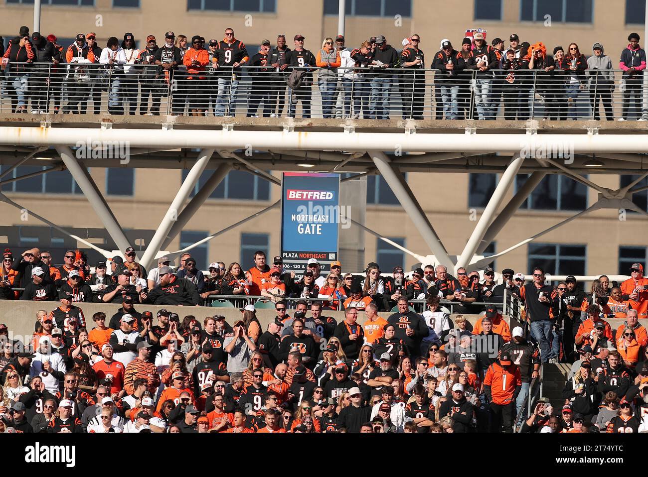 Cincinnati Bengals fans during an NFL football game against the Houston ...