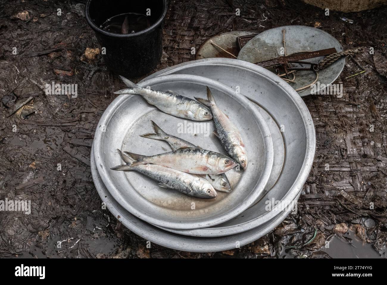 Tejgaon slum area hi-res stock photography and images - Alamy