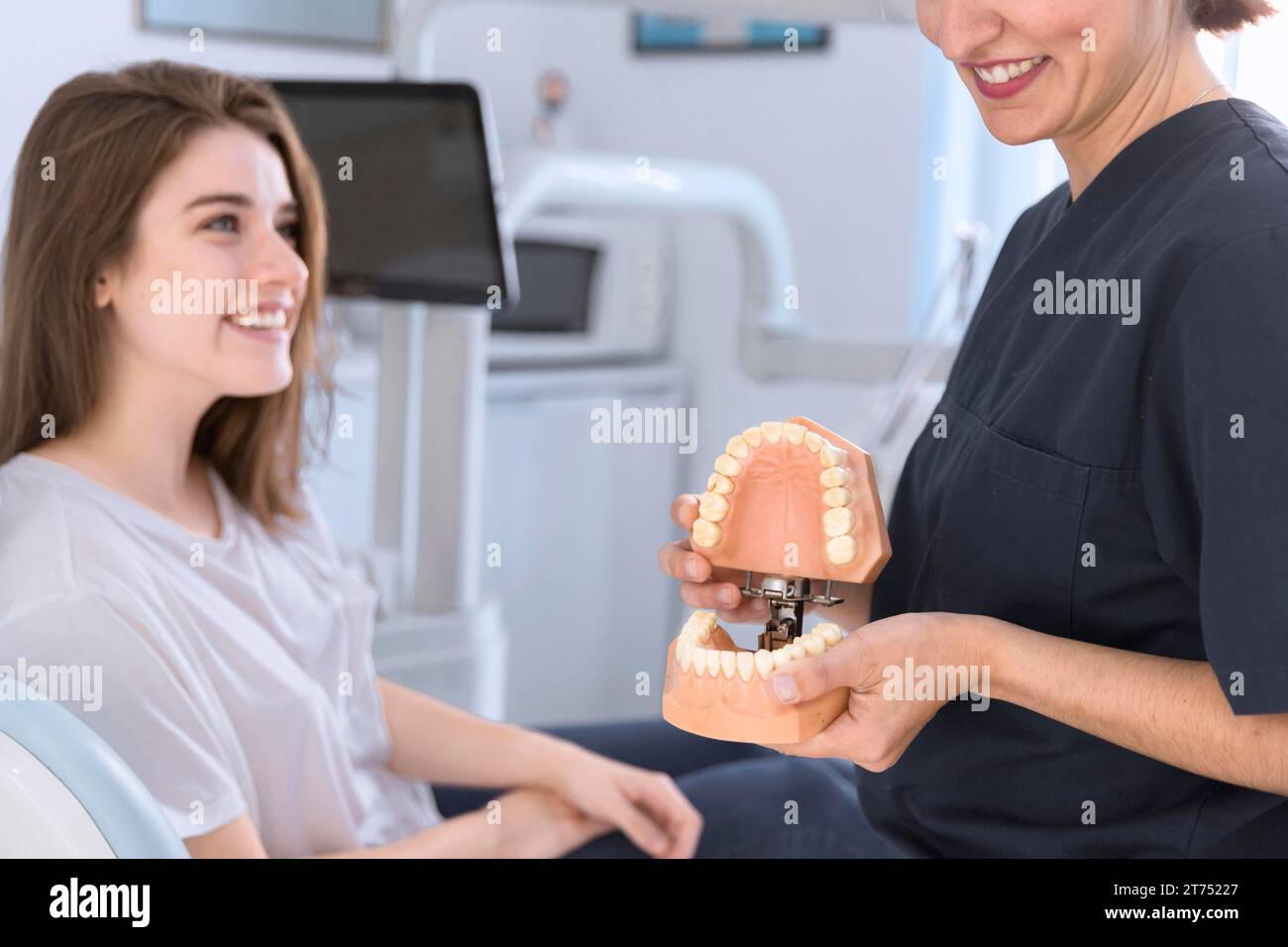 Tooth model showing dental hi-res stock photography and images - Alamy