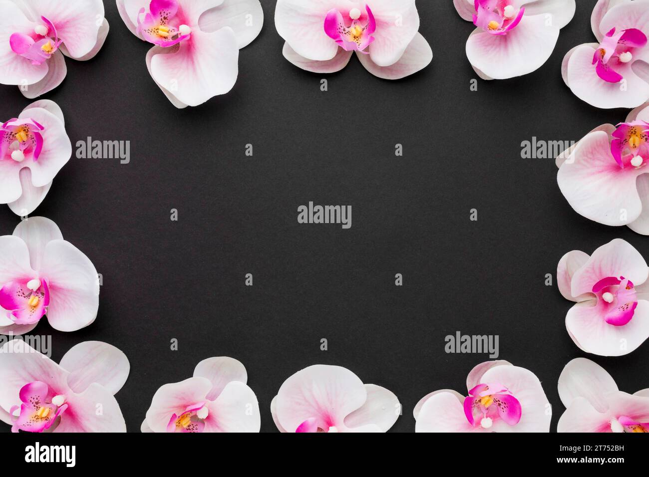 Flat lay orchids frame Stock Photo - Alamy