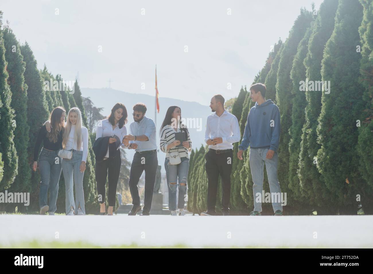 Collaborating in a Park. Achieving Milestones and Exam Success Through ...
