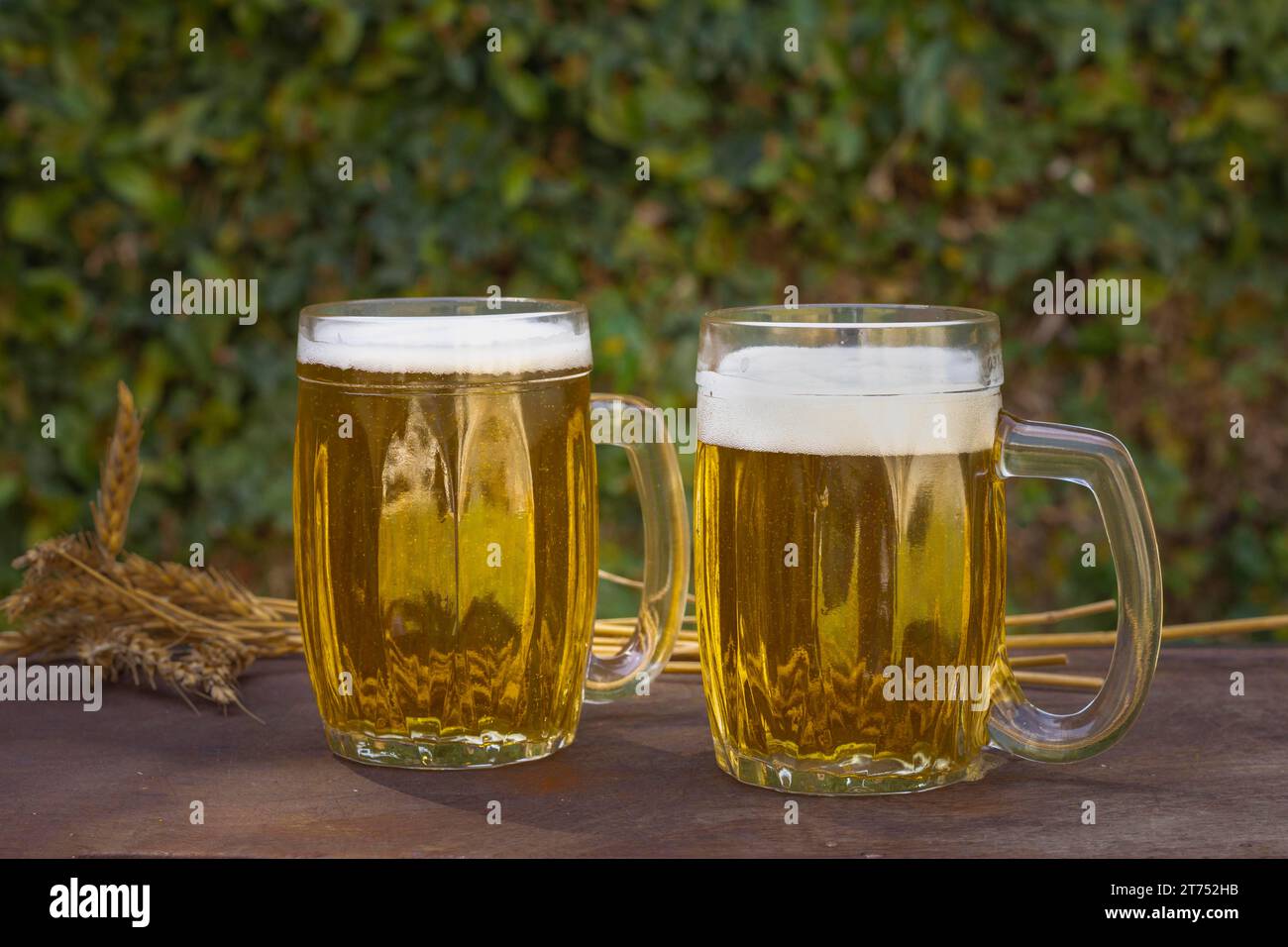 Two pints of beer hi-res stock photography and images - Alamy