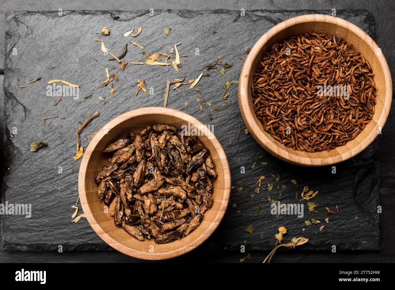 Edible insects bowl hi-res stock photography and images - Alamy