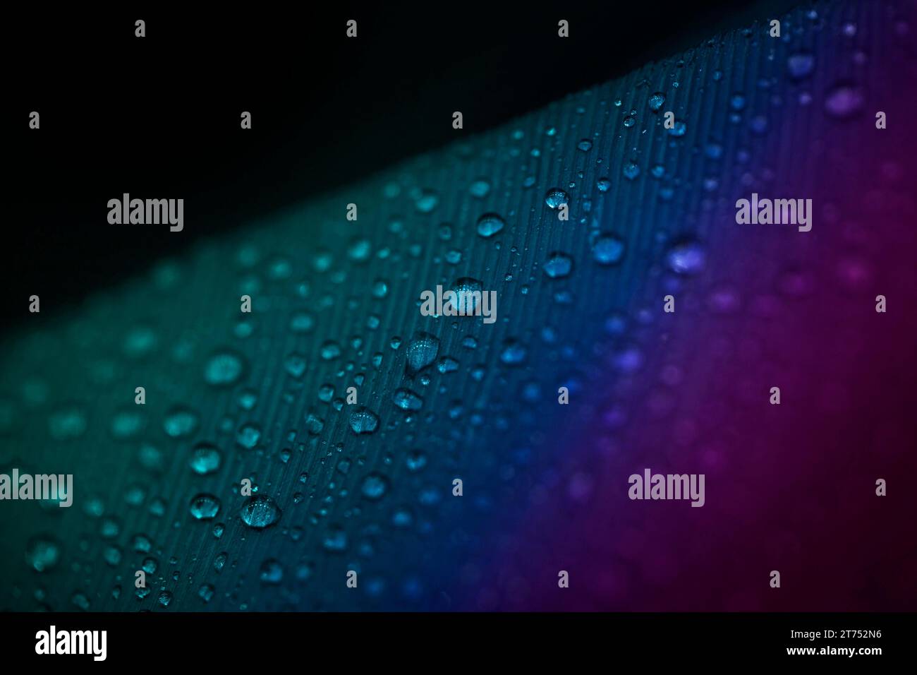 Full frame droplets colorful feather surface Stock Photo - Alamy