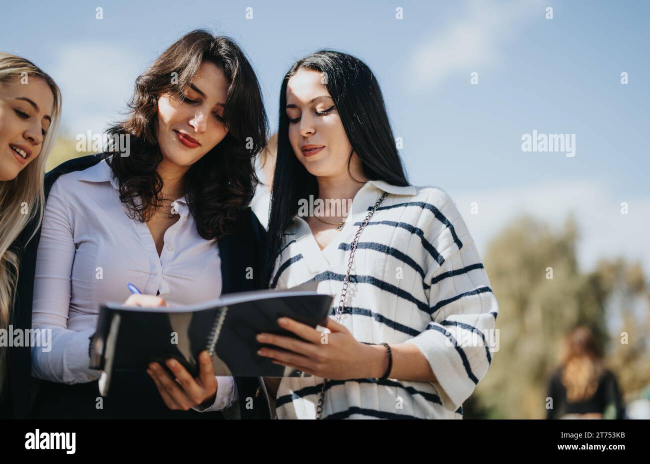 Young students discussing and collaborating in a sunny park, working ...