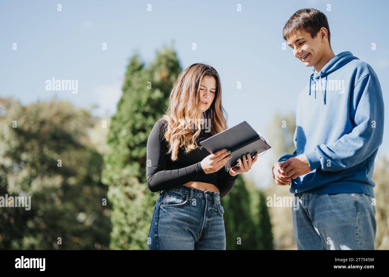 Successful University Students Collaborating on Park Project, Achieving ...