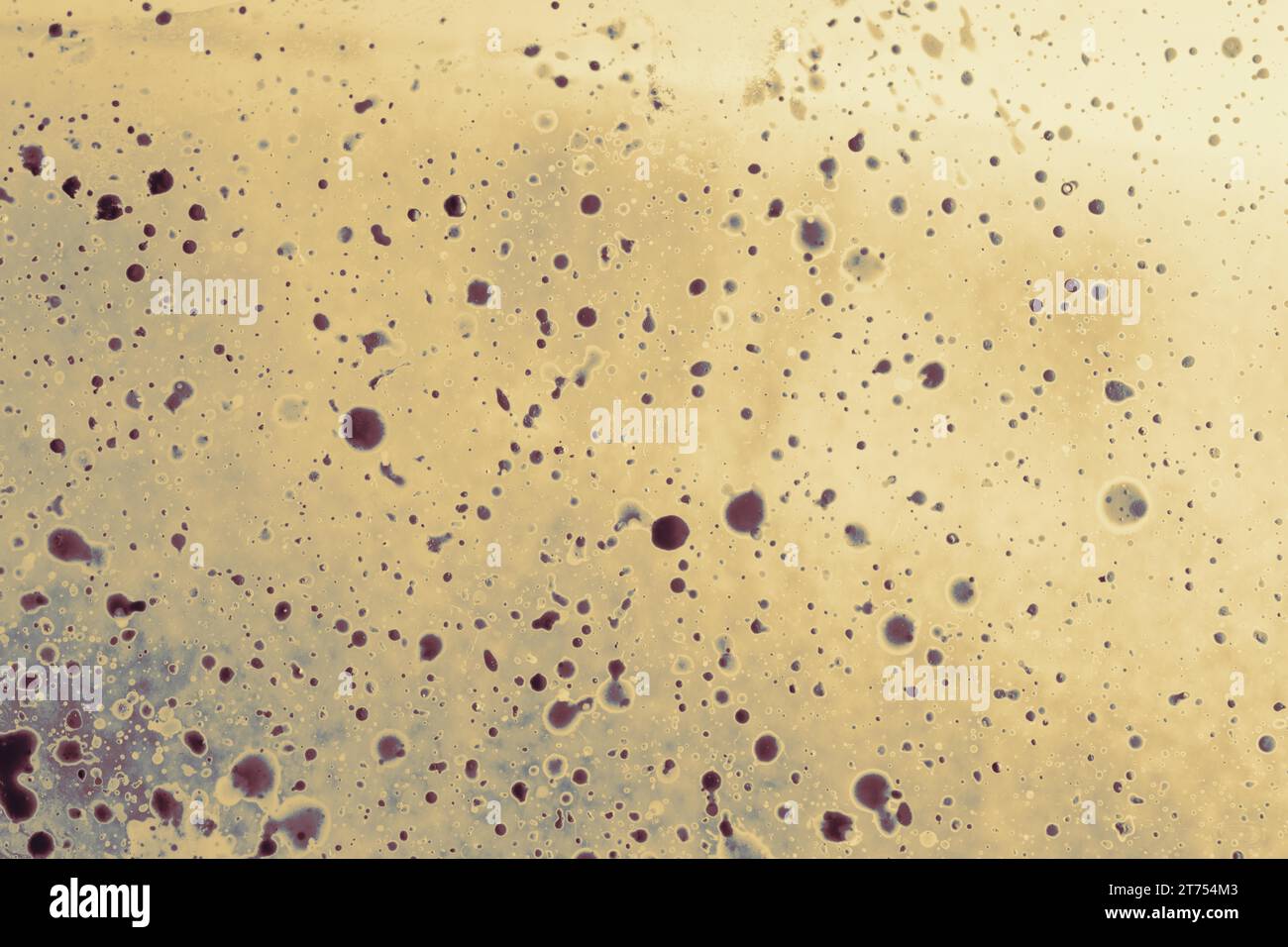 Abstract spots and stains on background formed by splashing watercolor ...