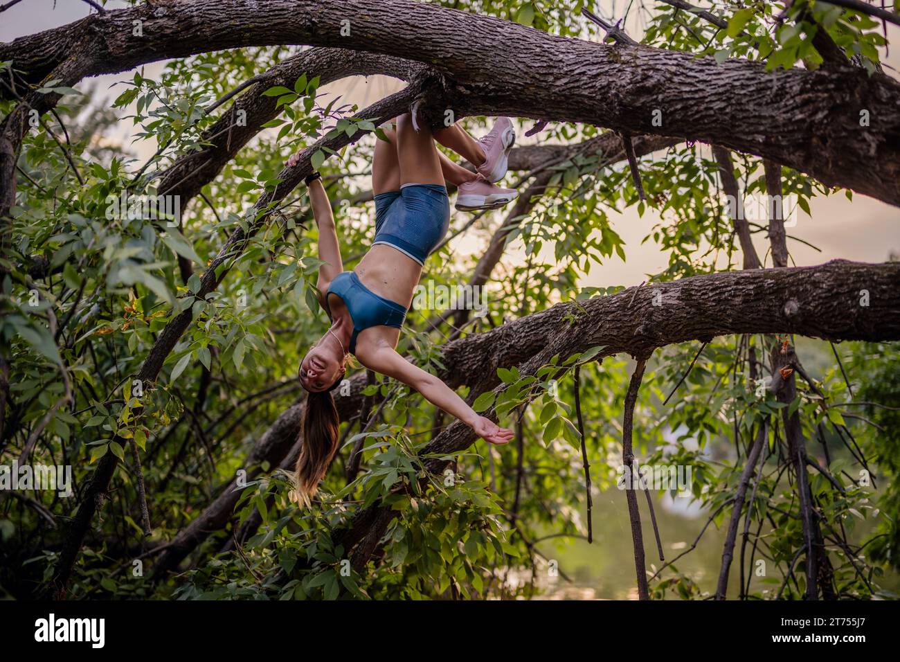 Active Fit Girl Exercising and Climbing Tree in Green Park Stock Photo ...