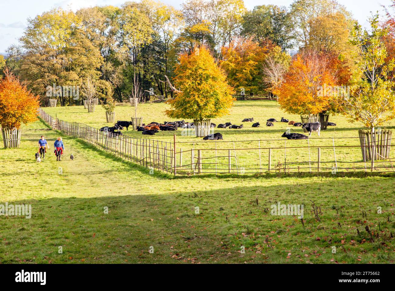 People walking through the grounds and parkland of the National Trust ...