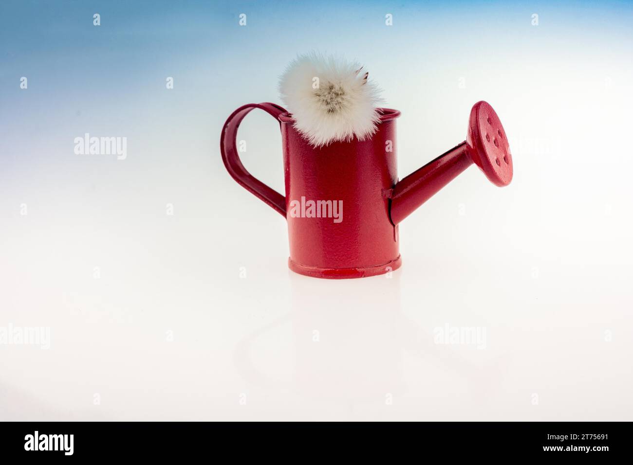 Little red model watering can with flower on top it Stock Photo - Alamy