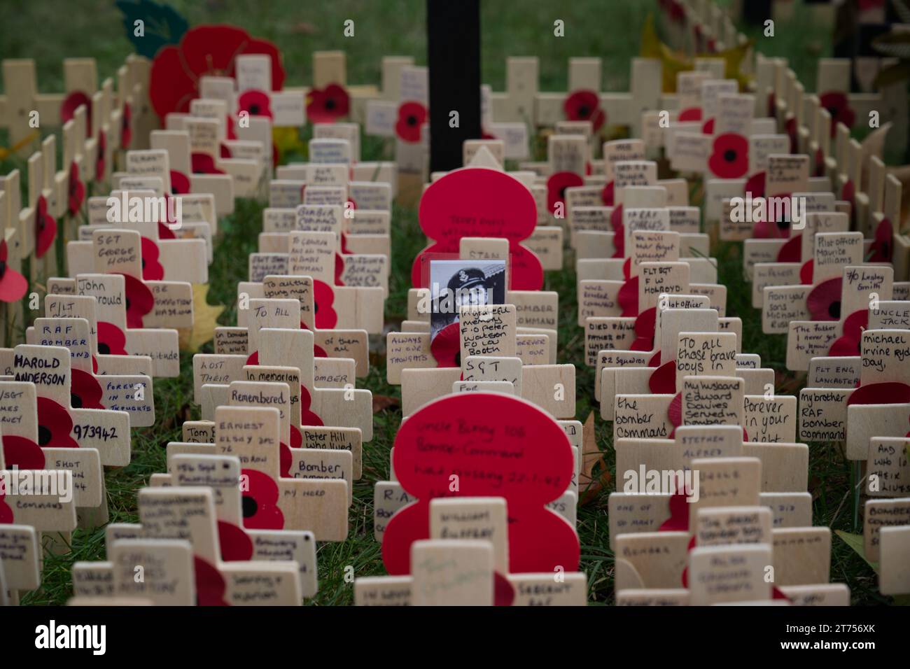 A photograph of a lost soldier placed amongst crosses at The Field of ...