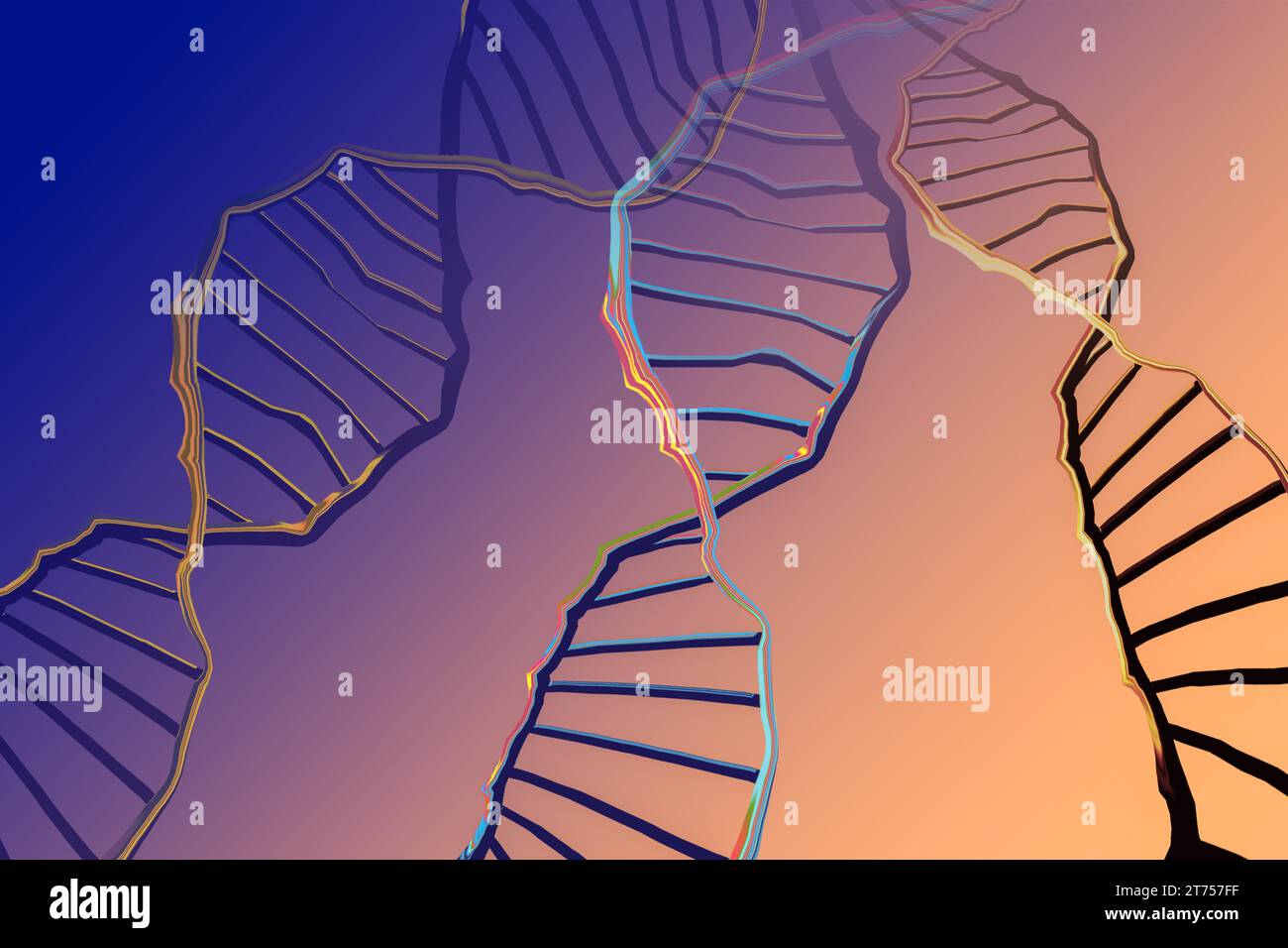 Sequencing of the genome hi-res stock photography and images - Alamy