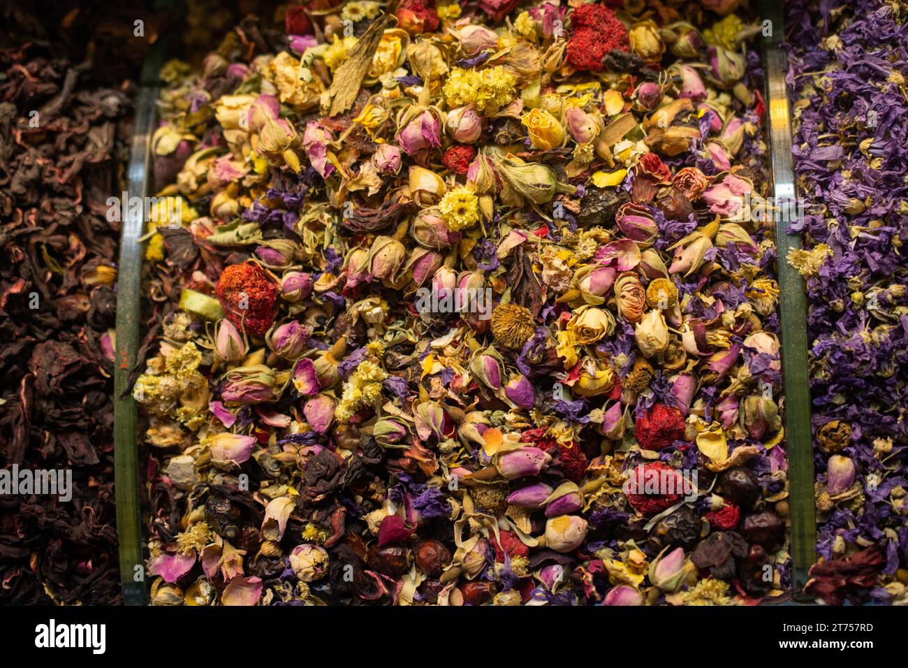 Diverse tea plant hi-res stock photography and images - Alamy