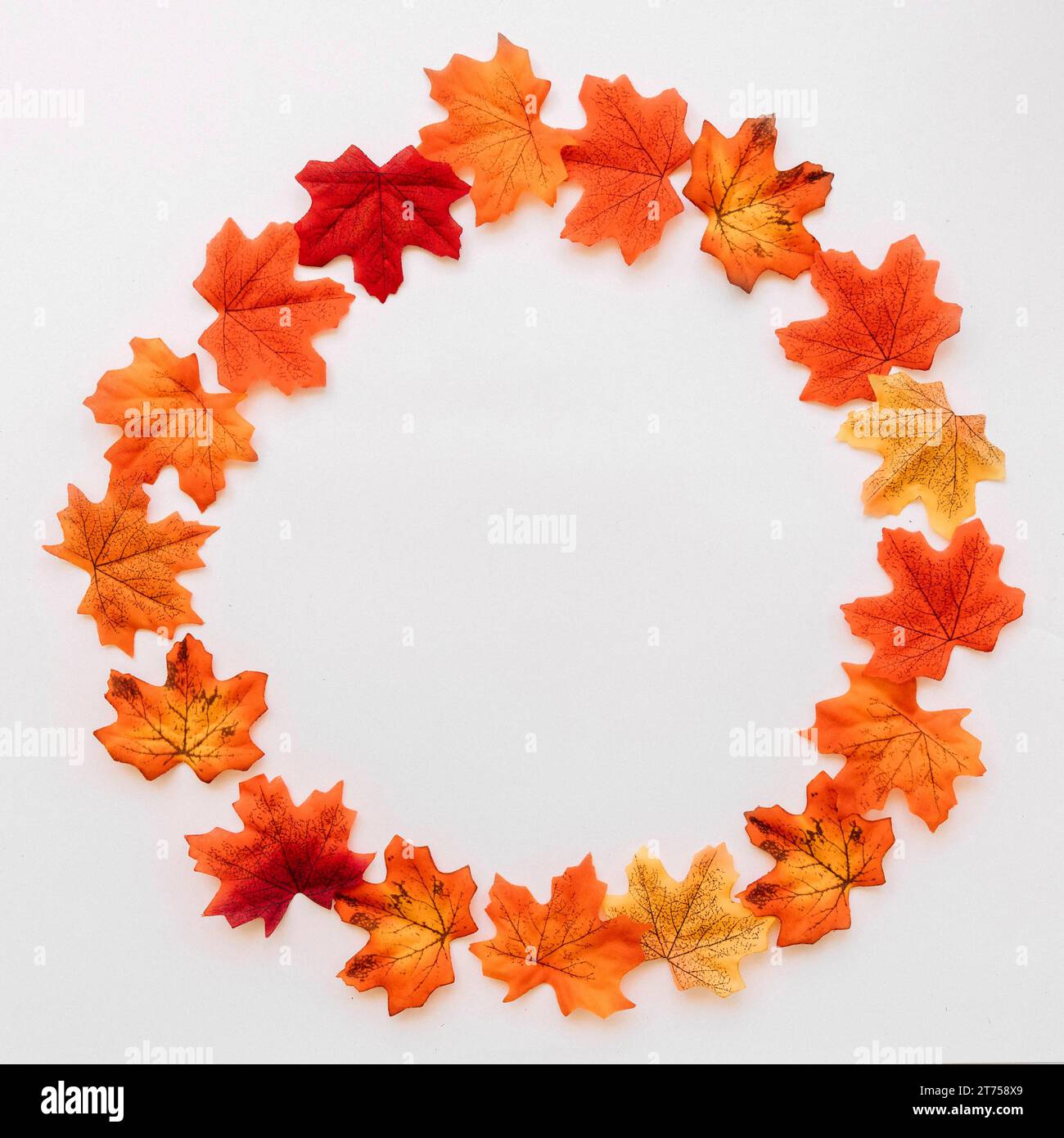 Autumn leaves lined circle Stock Photo - Alamy