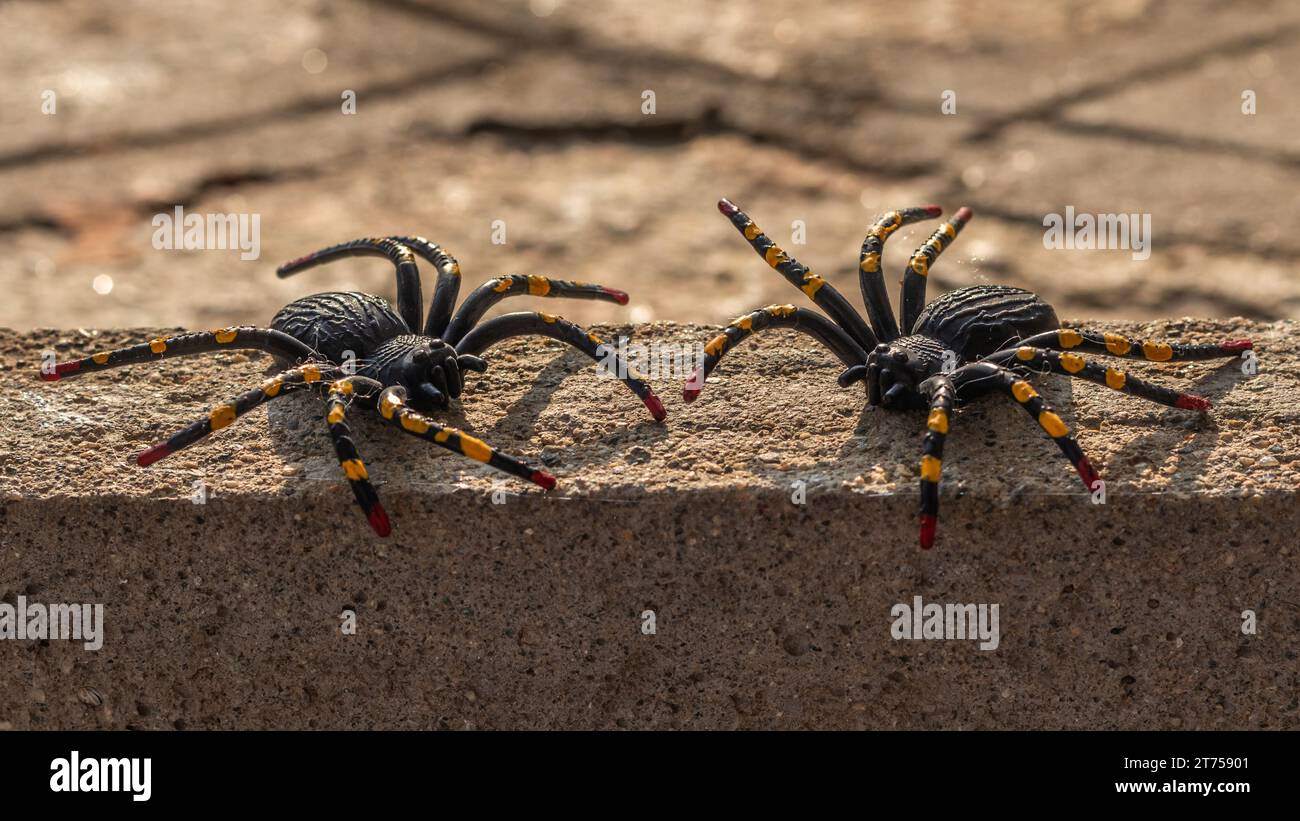 Spooky Halloween decor with two faux spiders perched on a weathered ...