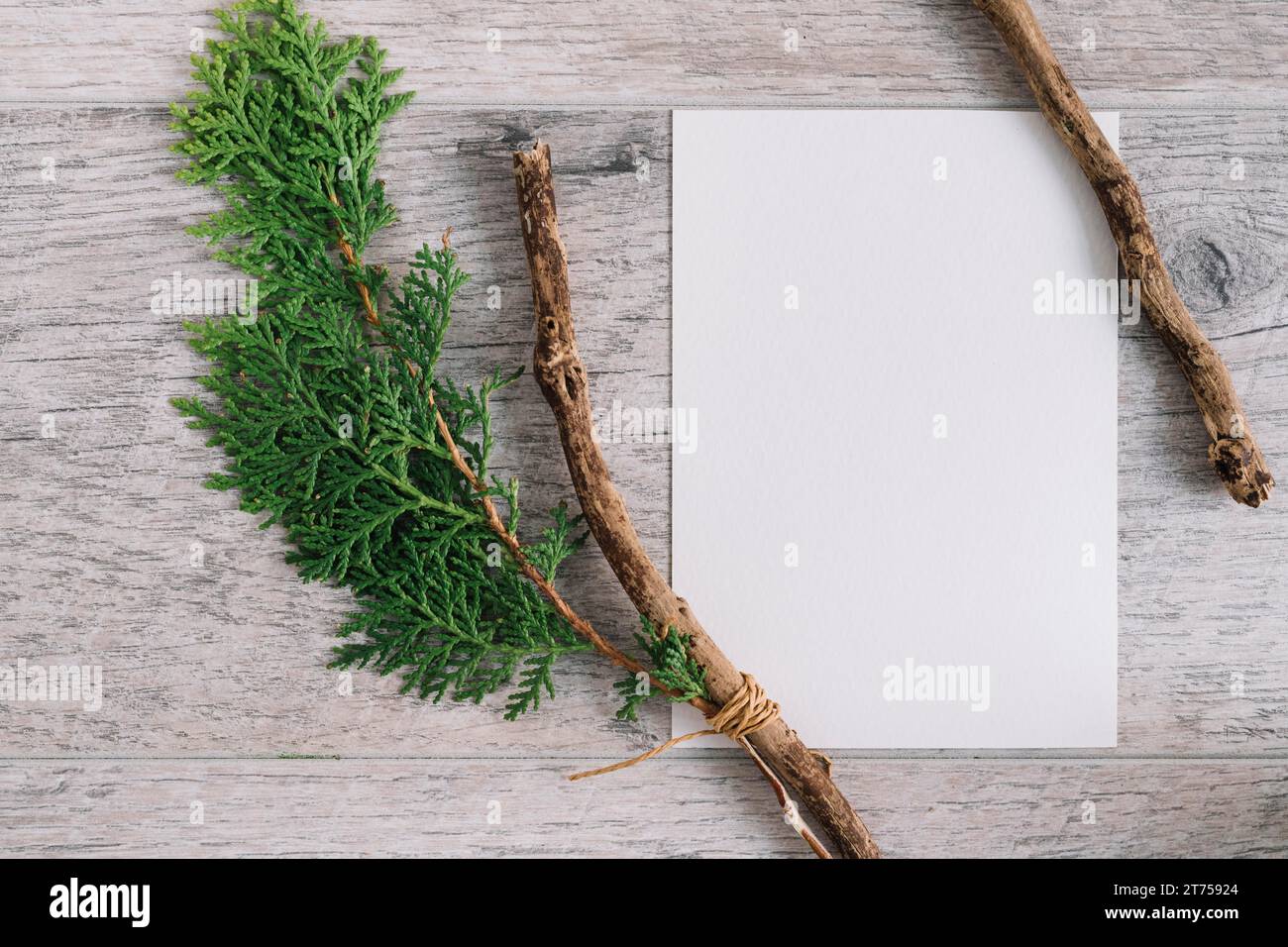 Blank white paper with cedar twig branch wooden textured background ...