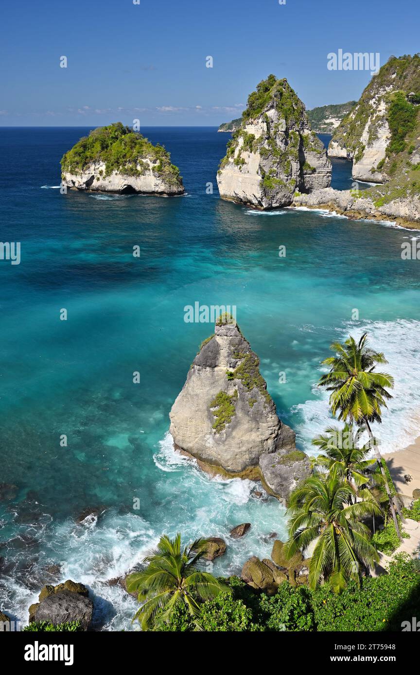 Sea stacks and palm trees in Diamond Beach, Nusa Penida, Indonesia ...