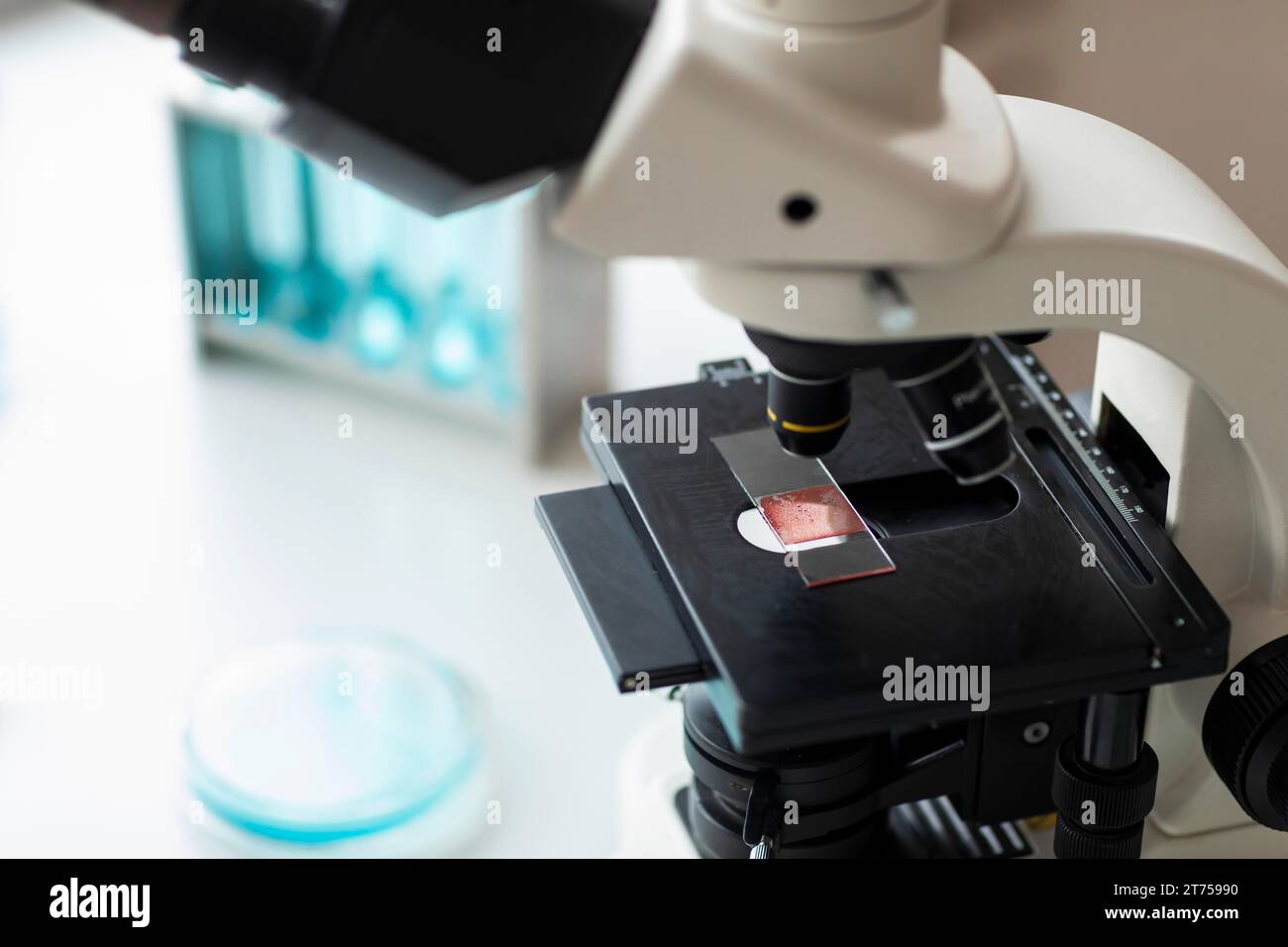 Close up microscope glass slide Stock Photo - Alamy