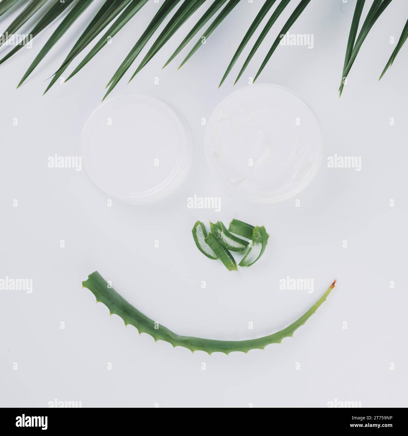Face made aloe vera cream leaves Stock Photo - Alamy
