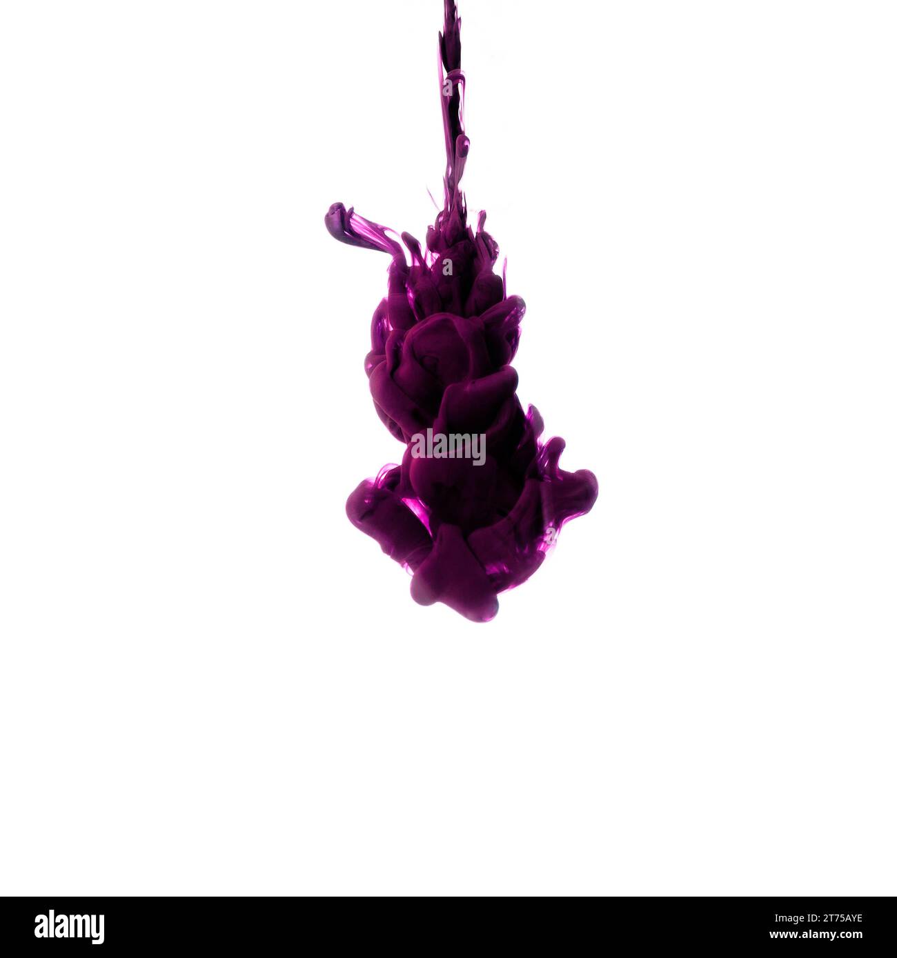 Purple falling drop water Stock Photo - Alamy