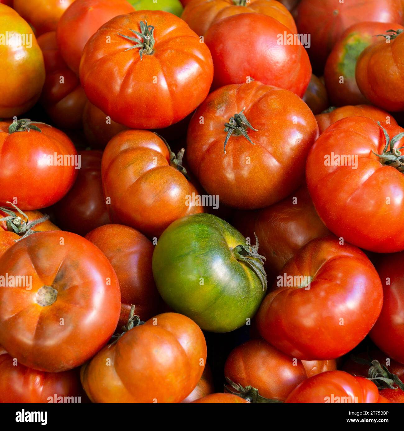 Top view arrangement with tomatoes Stock Photo - Alamy