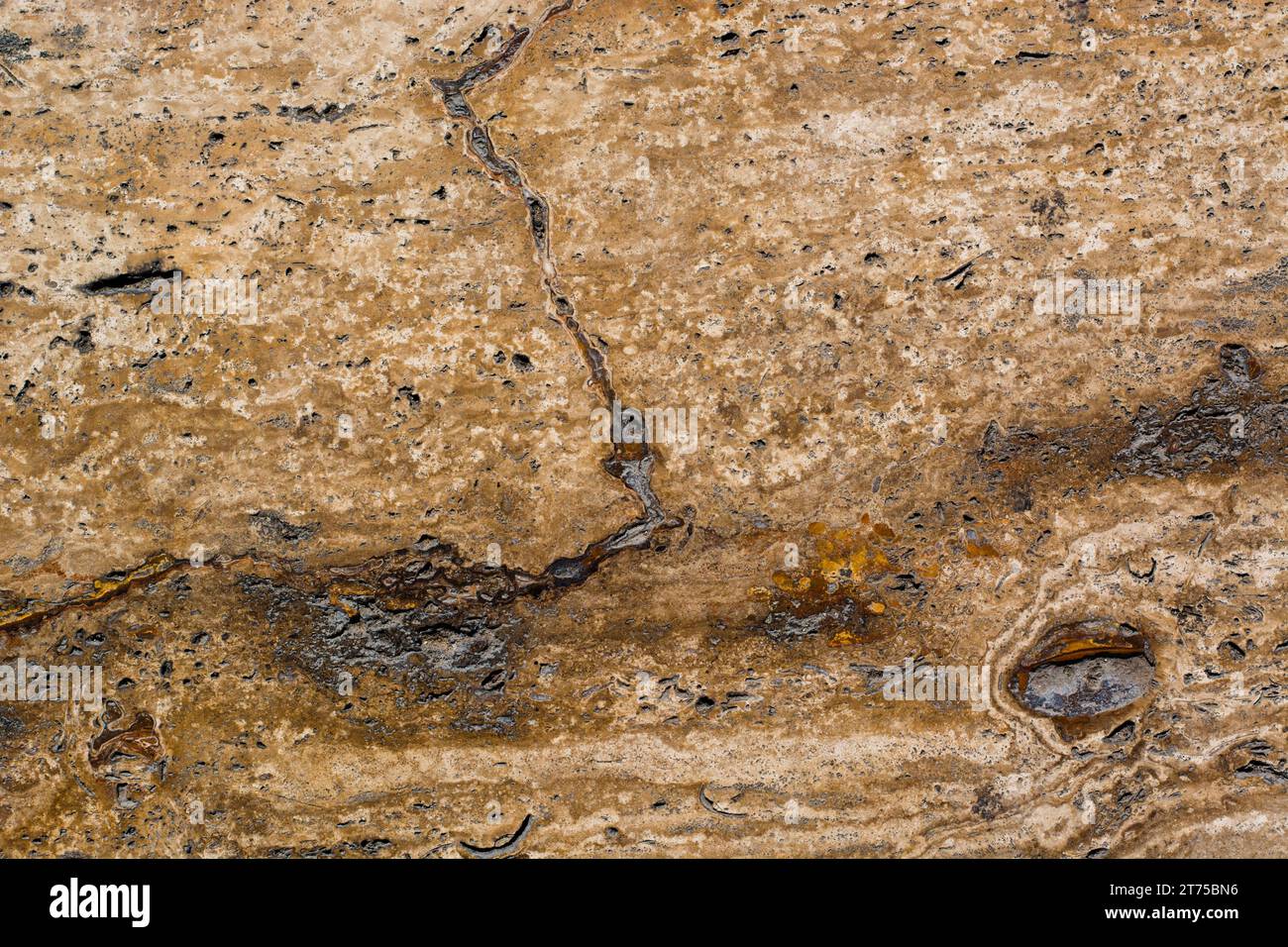 Tree texture with resin Stock Photo - Alamy