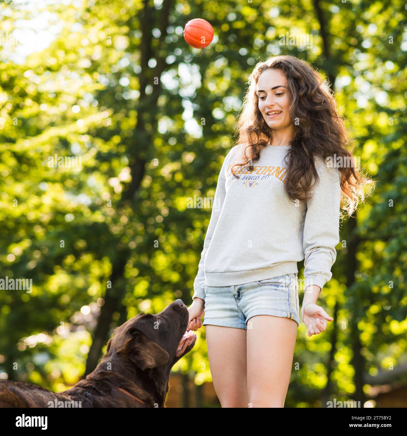 Woman throwing ball dog hi-res stock photography and images - Alamy