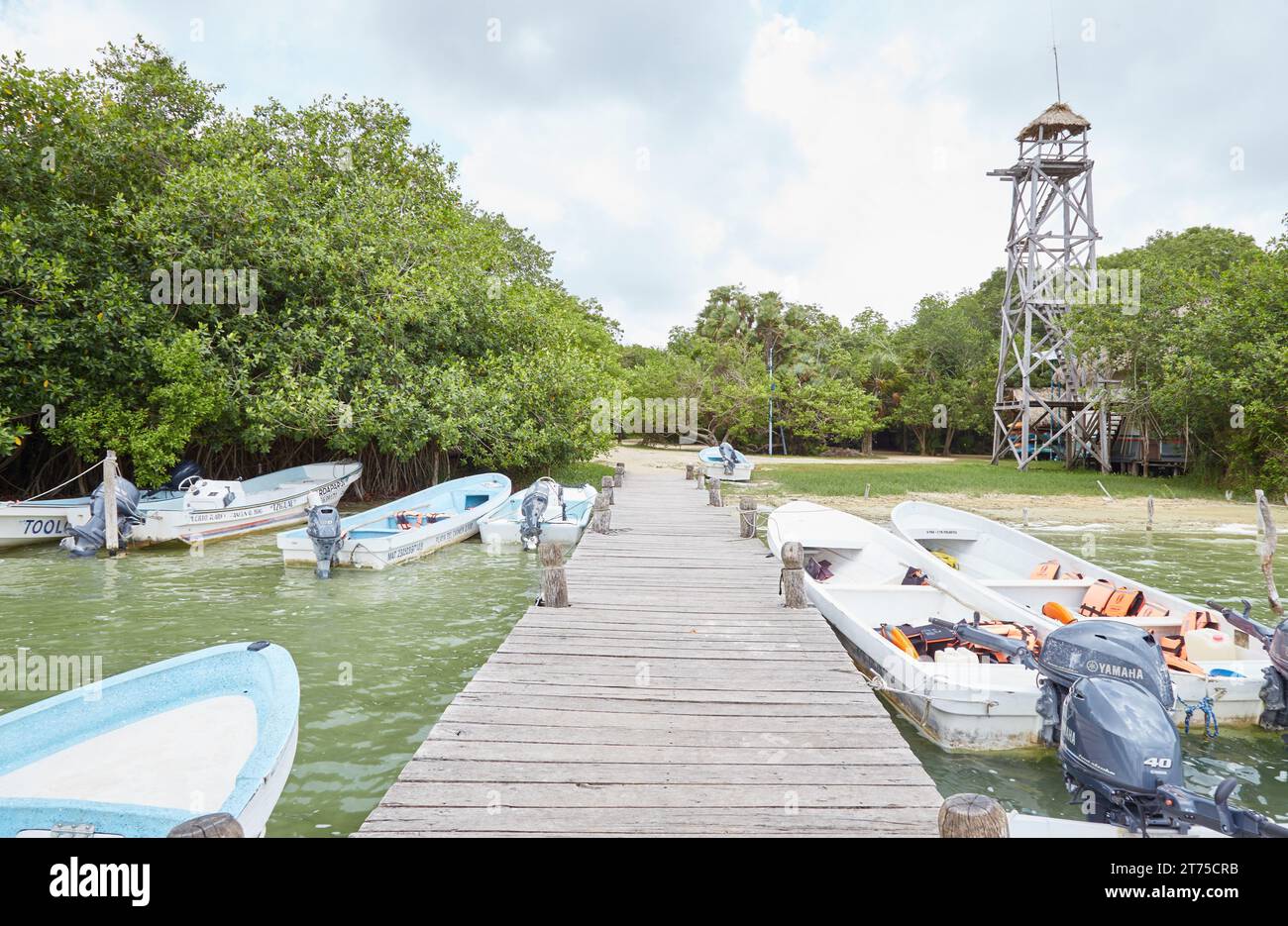 The Sian Ka'an Biosphere Reserve near Tulum, Mexico Stock Photo - Alamy