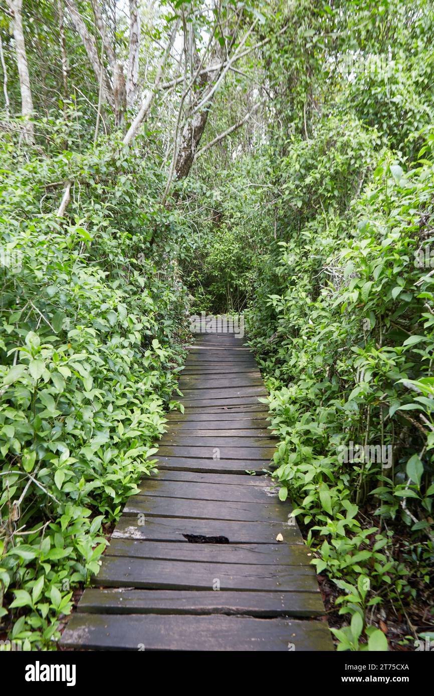 Sian Ka’An Biosphere Reserve Tulum – QGBR