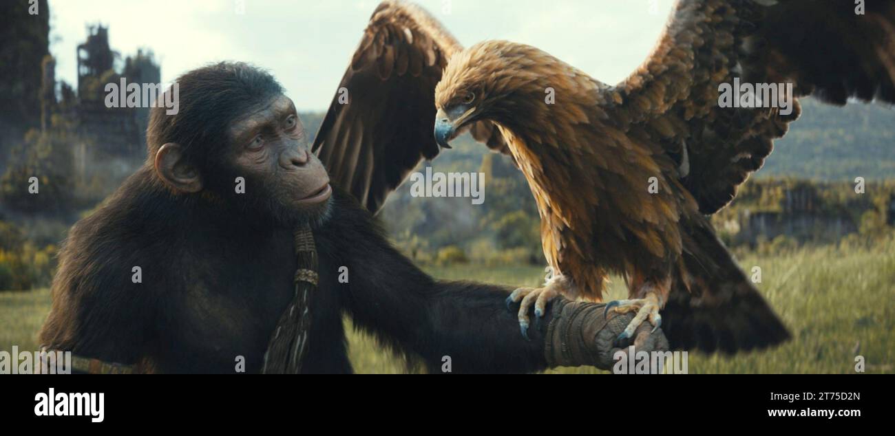 KINGDOM OF THE PLANET OF THE APES, Noa (voice: Owen Teague), 2024. TM ...