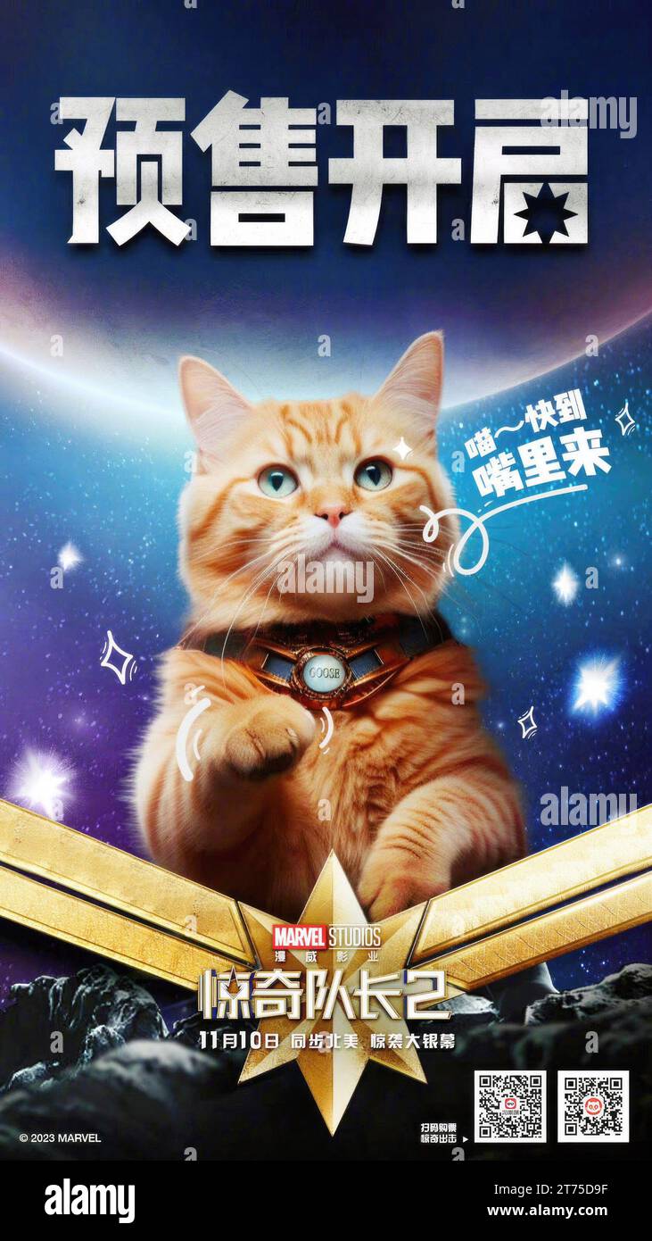 THE MARVELS, (aka CAPTAIN MARVEL 2), Chinese poster, Goose the Flerken ...