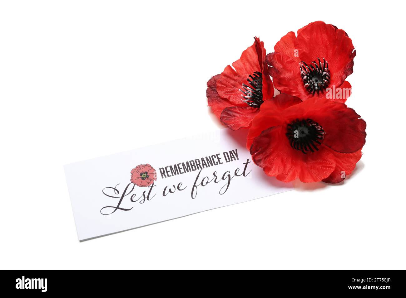 Red poppy flowers with card isolated on white background. Remembrance ...