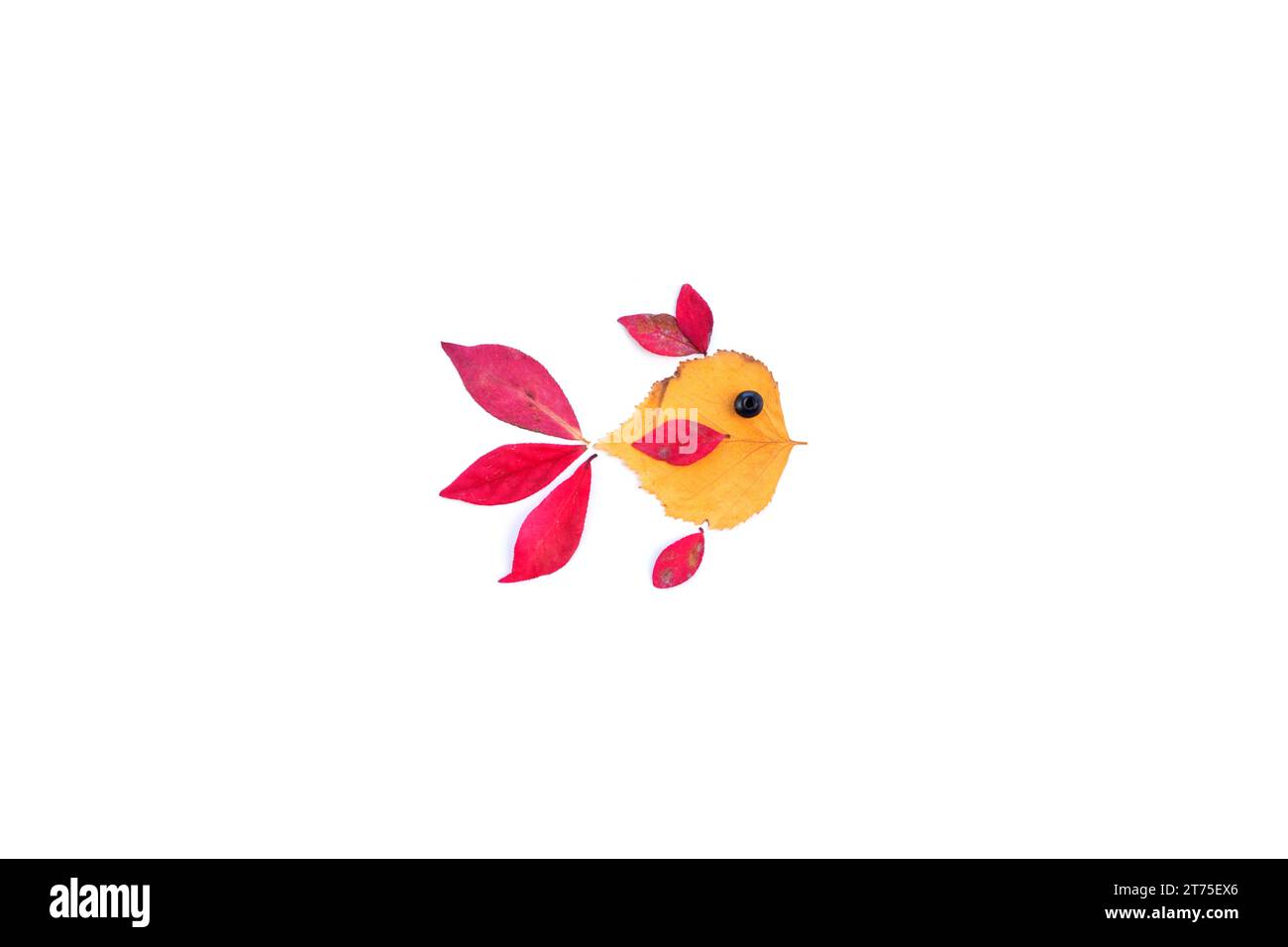 autumn nature craft for kids, fish made of leaf, top view, white ...