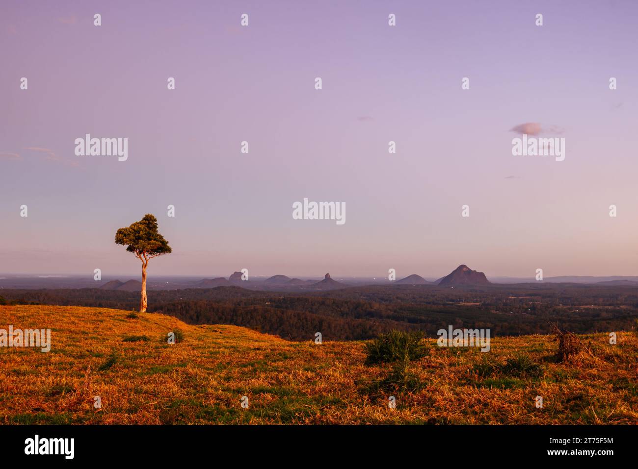 Glass house mountains national park hi-res stock photography and images ...