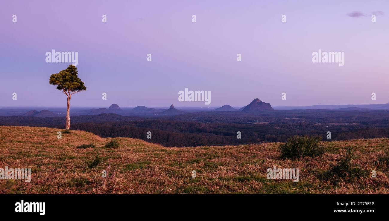 A view across the Glass House Mountains National Park from One Tree ...